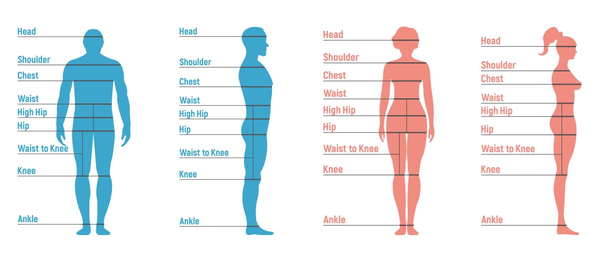 The close inverse relationship between male and female height and life ...